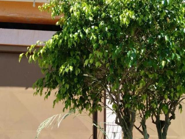 Casa com 2 Quartos para Venda, 250m², por R$ 700.000,00, em Bela Vista, Osasco / SP