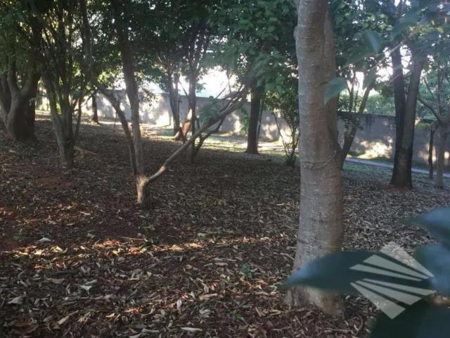 Casa com 3 dormitórios à venda, 157 m² Condomínio Hípica Pinheiro Taubaté/SP