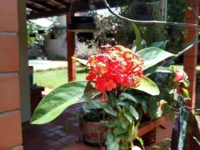 Casa com 3 dormitórios à venda, 1250 m² Ideal para desmembramento por R$ 1.000.000 Vila Helena S