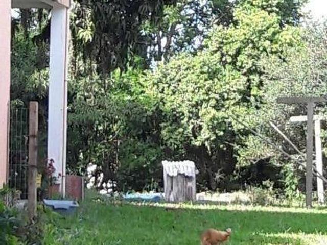 Casa com 3 dormitórios à venda, 130 m² por R$ 1.590.000,00 Sitio São José Viamão/RS
