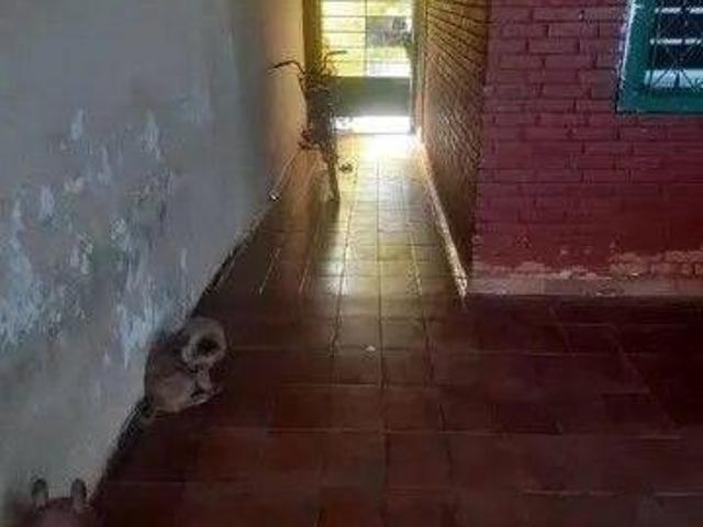 Casa com 3 dormitórios à venda, 200 m² por R$ 320.000,00 Jardim Mourisco Taubaté/SP