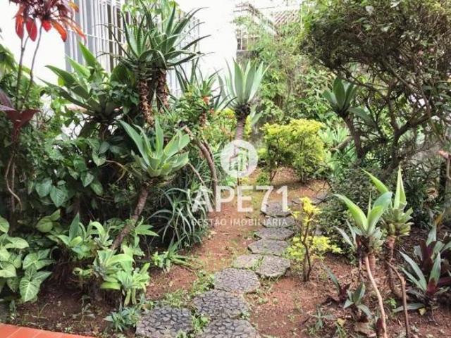 Casa com 3 dormitórios à venda, 238 m² Saúde S