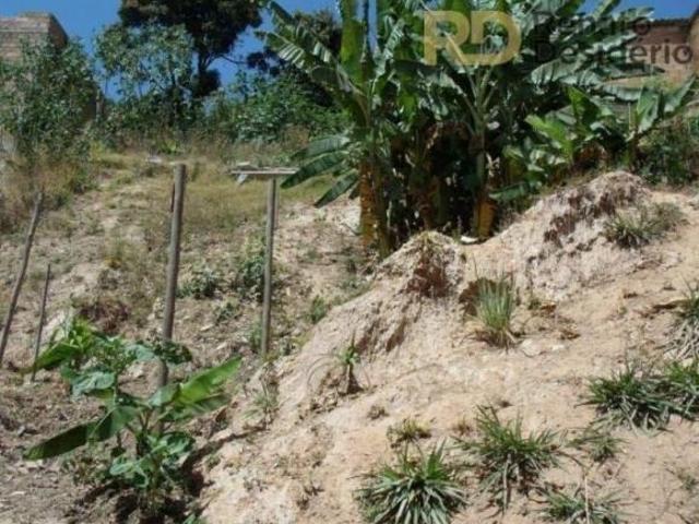 Casa com 3 dormitórios à venda, 260 m² por R$ 650.000,00 Vera Cruz Belo Hori