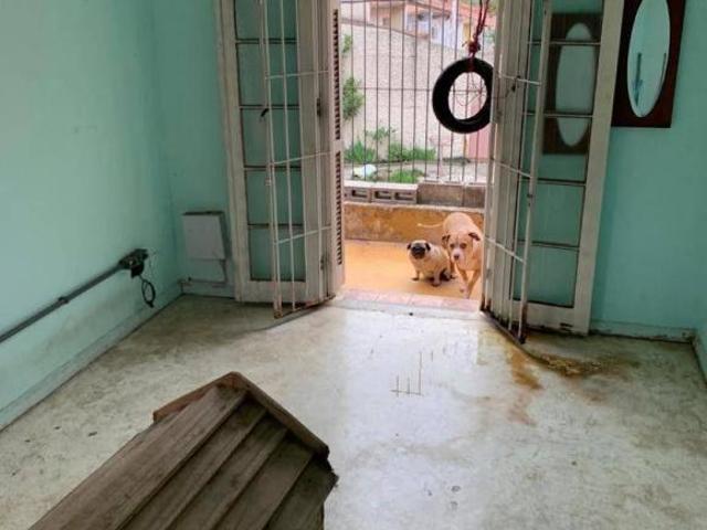 Casa com 3 dormitórios à venda, 350 m² por R$ 2.300.000,00 Planalto Paulista São Paulo/SP