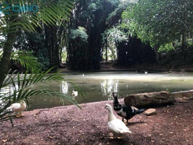 Casa com 3 dormitórios à venda por R$ 1.495.000,00 Granja Viana Cotia/SP