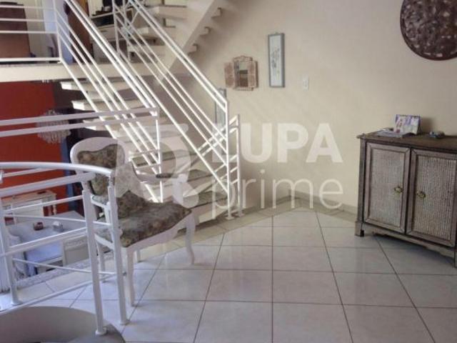Casa com 3 dormitórios e 3 banheiros à venda no Mandaqui