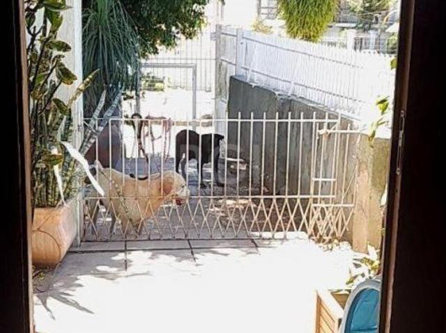 Casa com 3 dormitórios 1 suíte,3 vagas cobertas bairro Jardim Itú, Porto Alegre RS