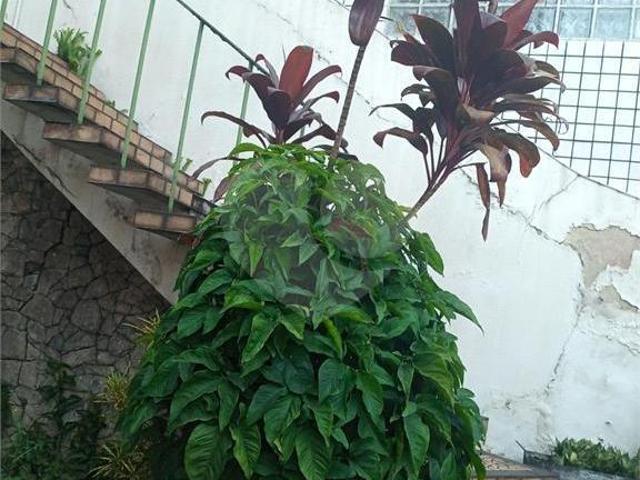 Casa com 3 quartos à venda em Vila romana SP