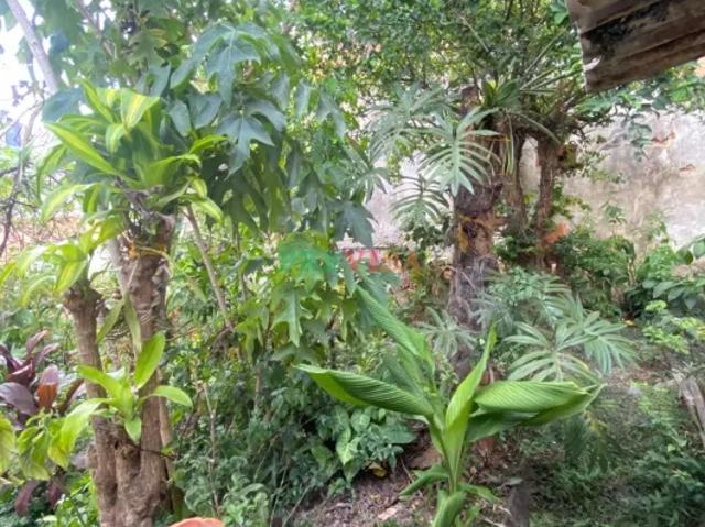 Casa com 3 quartos à venda em Belo Horizonte