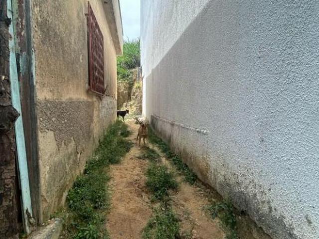 Casa com 3 quartos à venda em Belo Horizonte, no bairro Pindorama