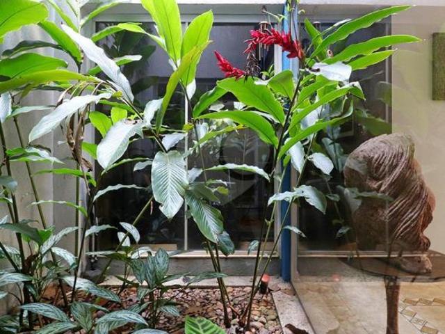 Casa com 3 quartos à venda em Jardim paulistano SP
