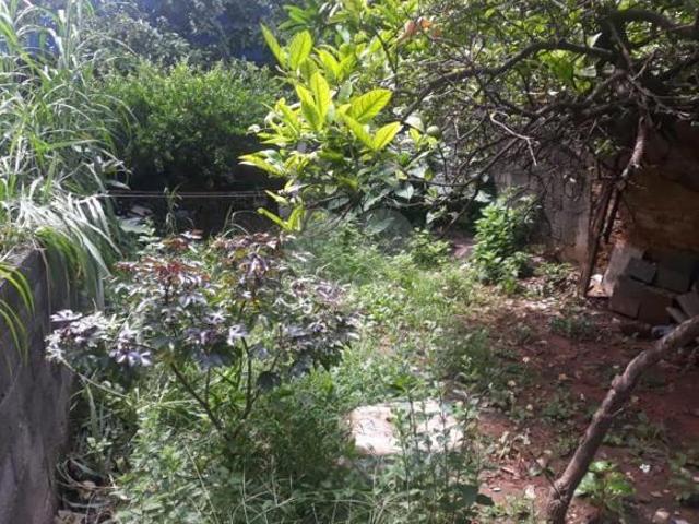 Casa com 3 quartos à venda em Santa Teresinha SP
