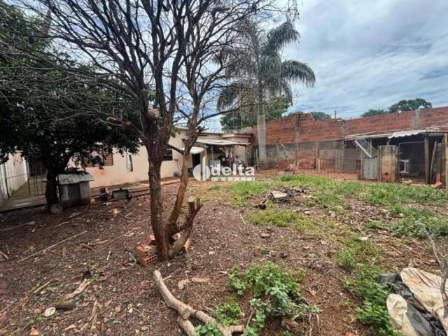 Casa com 3 quartos disponível para venda no bairro Saraiva em Uberlândia MG