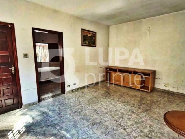 CASA COM 3 QUARTOS E 6 VAGAS DE GARAGEM À VENDA NA VILA MARIA