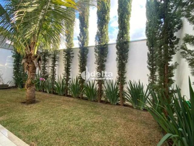 Casa com 3 quartos sendo 1 suíte disponível para venda no bairro Novo Mundo em Uberlândia MG