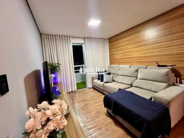 Casa com 3 quartos sendo 1 suíte disponível para venda no bairro Laranjeiras em Uberlândia MG