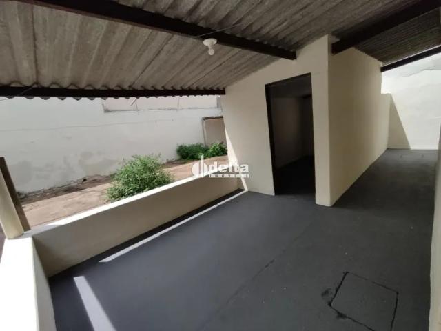 Casa com 3 Quartos para alugar, 120m² Umuarama