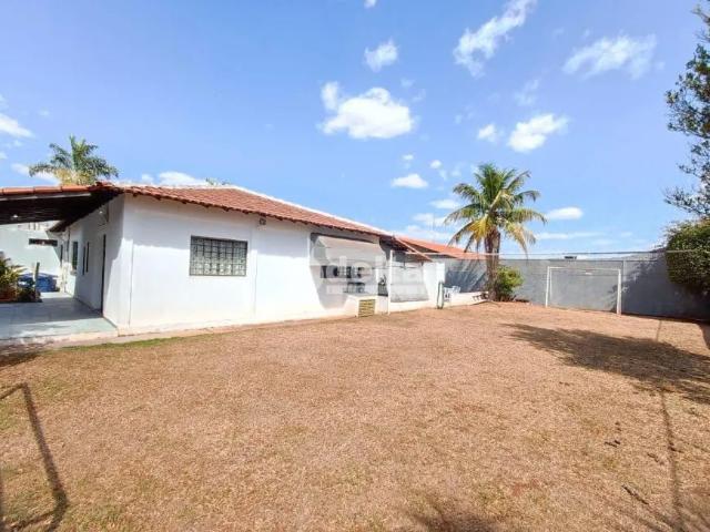Casa com 3 Quartos para alugar, 309m² Umuarama
