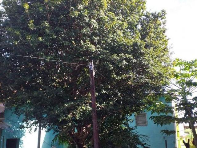 CASA COM O4 QUARTOS NO CONCÓRDIA