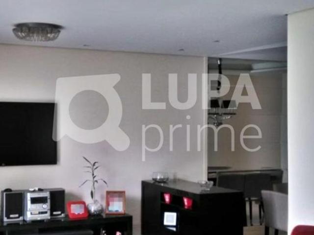 CASA COM PISCINA E 3 QUARTOS PARA VENDA, VILA MARIA, SÃO PAULO