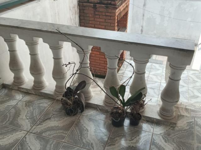 Casa comercial Venda Mogi das Cruzes SP Alto Ipiranga