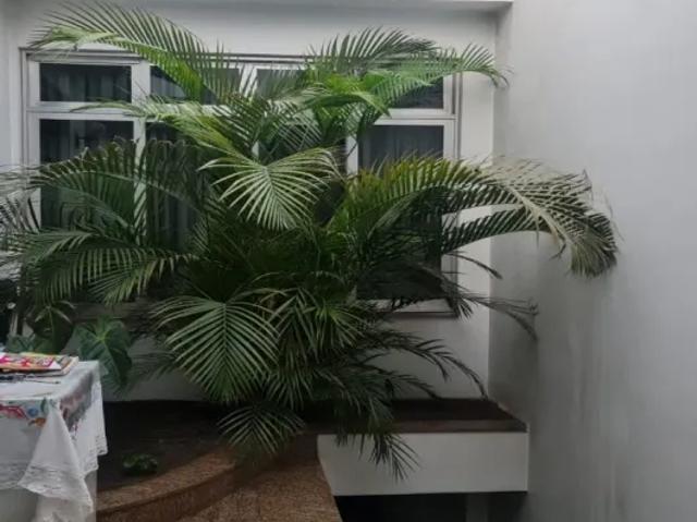 Casa comercial na Avenida Piassanguaba, N. 2966 • 470 m²