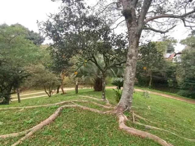 Casa Comercial no Porto da Lagoa Rio Tavares