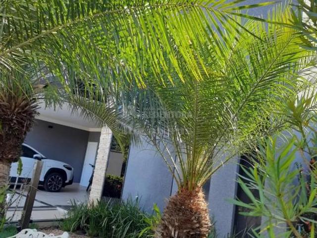 Casa Condomínio em São José do Rio Preto