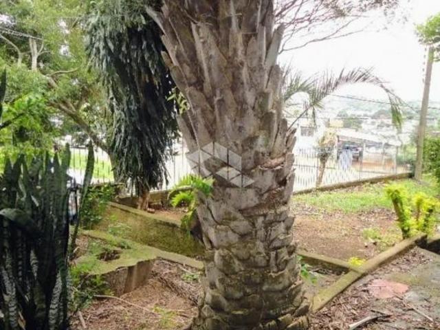 Casa de madeira com 2 dormitórios em terreno bem localizado no Bairro Morro Santana