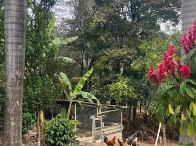 Casa de Condomínio com 3 quartos à venda em Betim, no bairro Gentileza