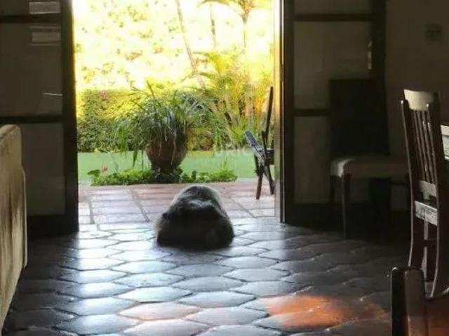 Casa de Condomínio com 4 Quartos para alugar, 350m² VALE DA SANTA FE