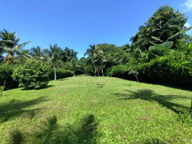 Casa de Condomínio com 6 Quartos para venda ou aluguel, 592m² Jardim Acapulco