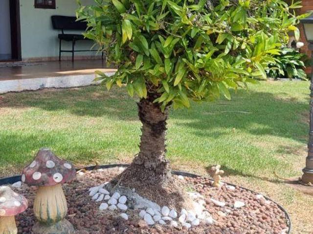 Casa de Condomínio para venda com Piscina e 6 quartos