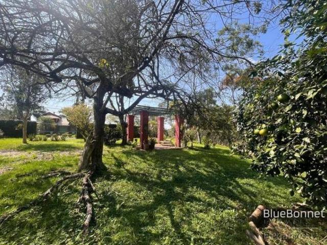 Casa de Condomínio para venda e aluguel em Loteamento Capital Ville de 238.00m² com 3 Quartos, 1 Sui