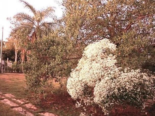 Casa de Condomínio para venda em Condomínio Recanto dos Páss