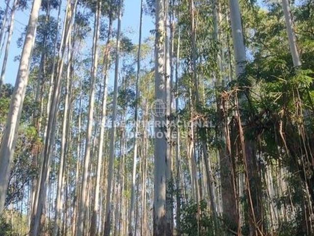 Casa de luxo de 702 m² à venda Jacupiranga, Brasil