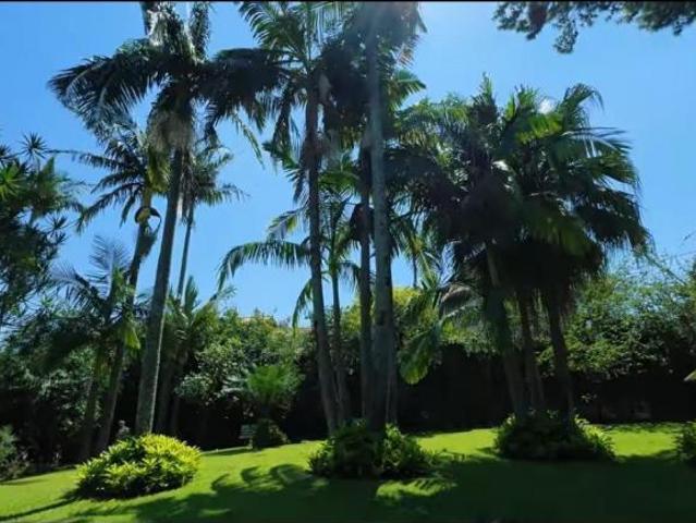 CASA DE LUXO NA ASSUNÇÃO