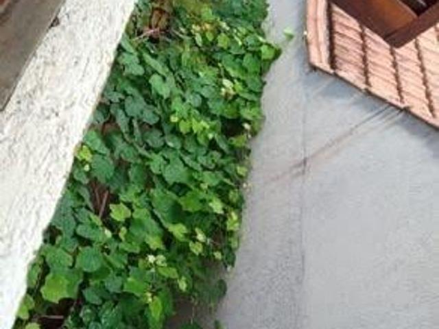 Casa de renda em Jardim das Flores Osasco