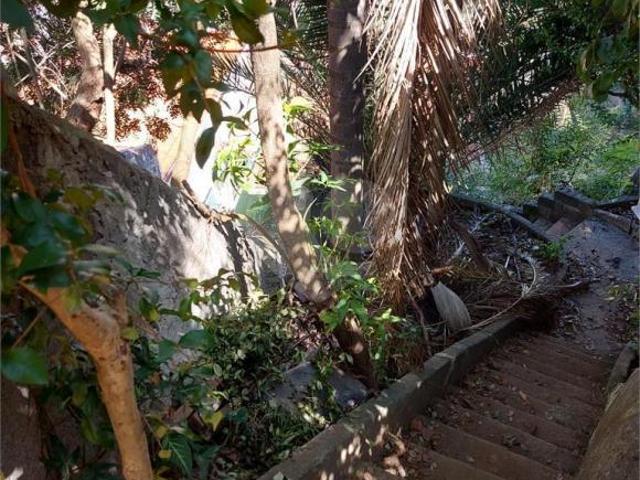 Casa de vila com 4 quartos à venda em Vila gustavo SP