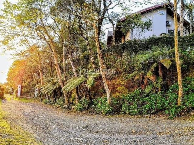 CASA EM MEIO A NATUREZA