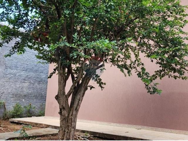 Casa em ótima localização para alugar, 345m² por R$ 4.500,00/mês Jardim dos Pinheiros Atibaia/SP