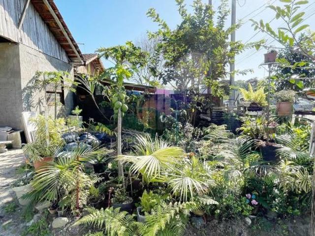 Casa em Balneário Nereidas Guaratuba, PR