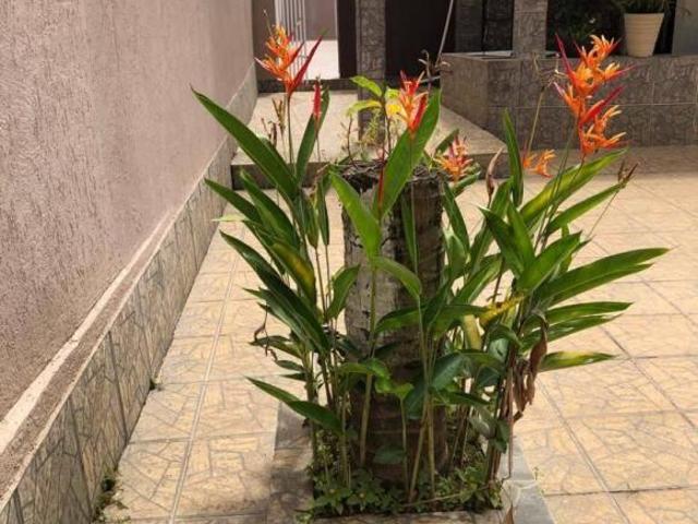 Casa em Centro, Bugre/MG de 434m² 4 quartos à venda por R$ 650.000,00