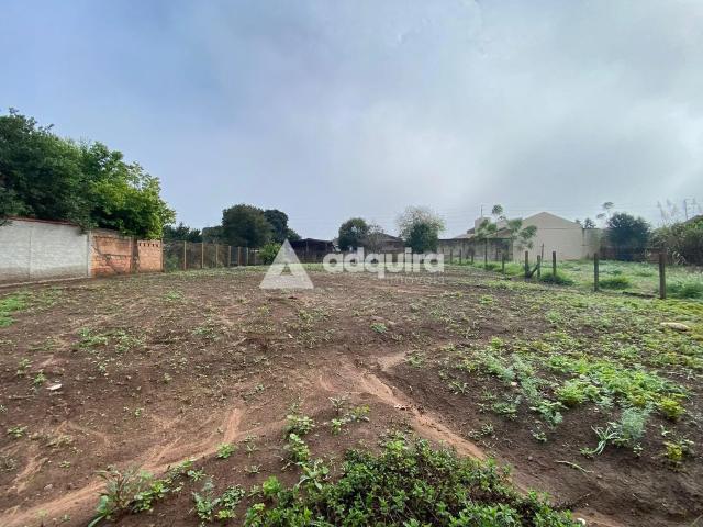 Casa em Colônia Dona Luíza, Ponta Grossa/PR de 73m² 2 quartos à venda por R$ 329.900,00