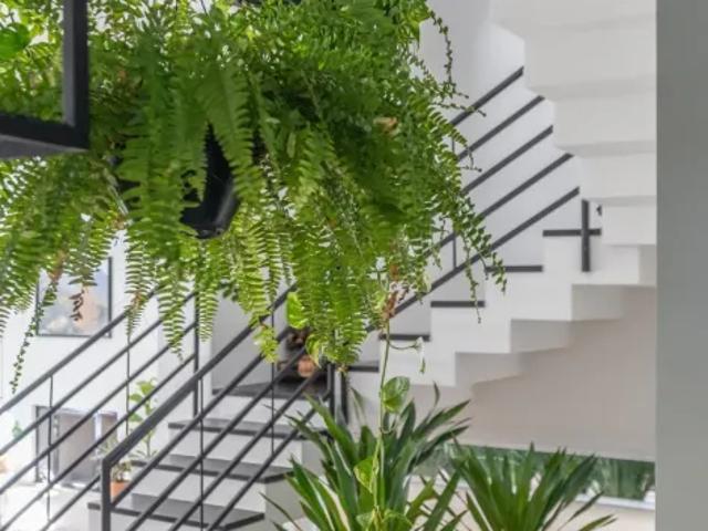 Casa em Condomínio em Pedra Redonda