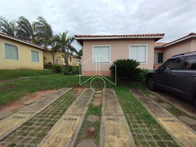 Casa Em Condomínio 3 Quartos e 2 Vagas no Jardim Esmeralda, Marília