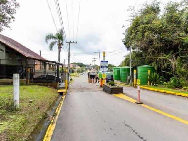 Casa em Condomínio, 4 dormitórios, 354 m², em São Lucas