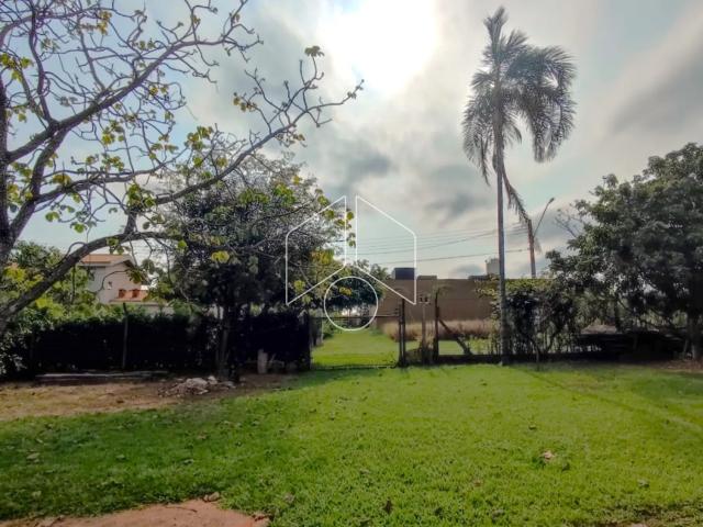 Casa em Condomínio com 2 Dormitórios e 9 Vagas em Padre Nóbrega, Marília