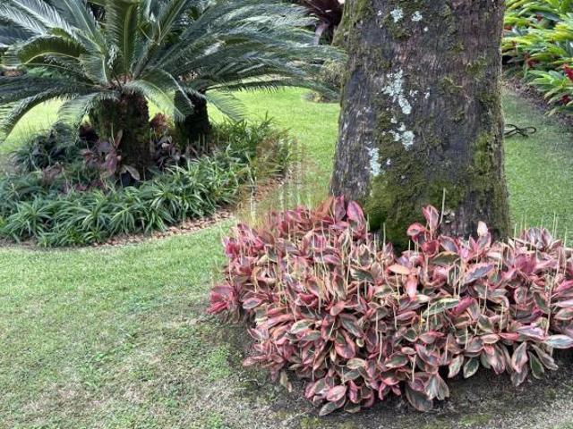 Casa em Condomínio para Venda em Guarujá, Cond. Park Lane, 4 dormitórios, 2 suítes, 4 banheiros