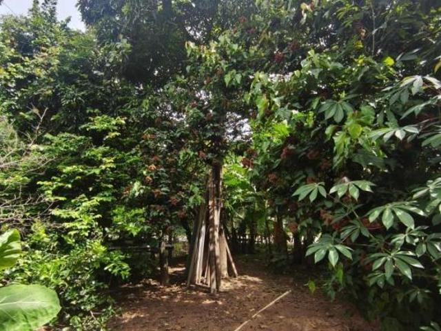 Casa em Condomínio para Venda em Jaboticatubas, Condomínio Estância da Mata, 3 dormitórios, 1 suíte